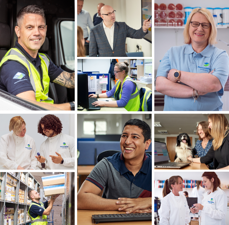 An introduction to NVS Group - NVS Group Introduction