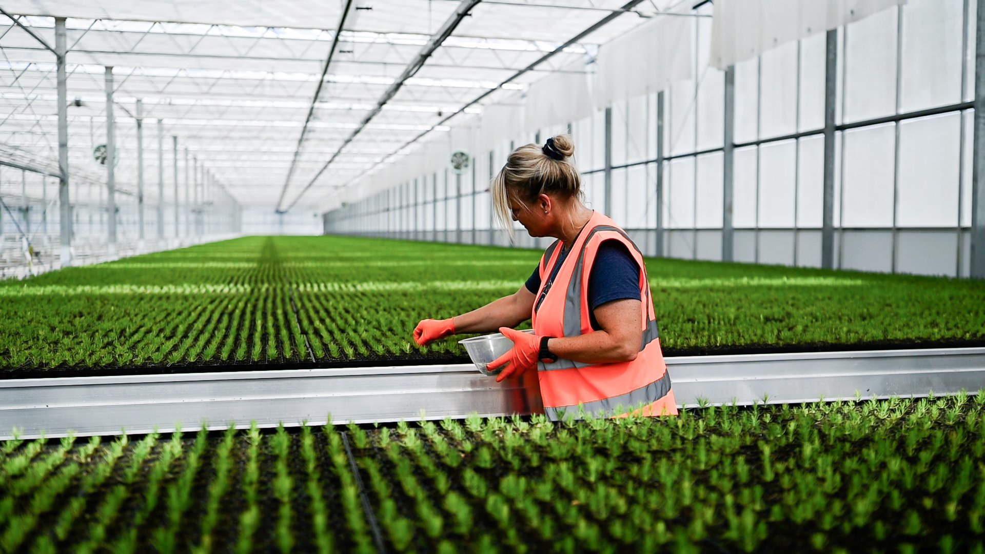 Newton Tree NurserySowing the seeds of Scotland's future... - Newton ...