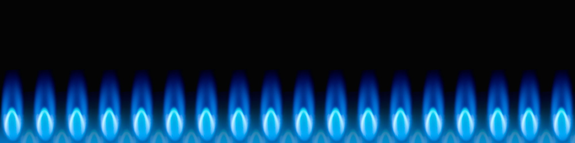 “The company wanted to make better purchasing decisions and to validate ...